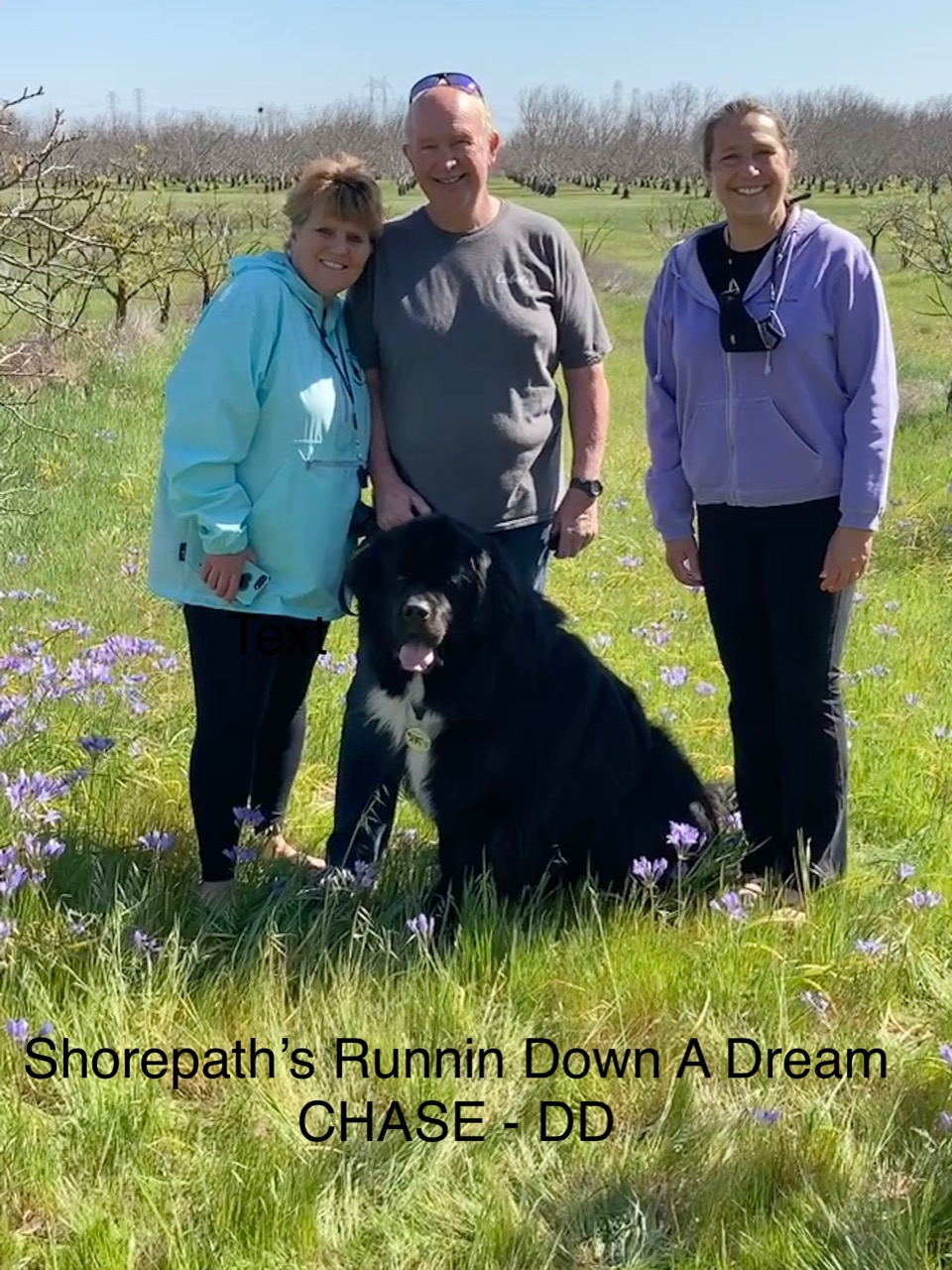 New DRAFT DOG title… | Shorepath
