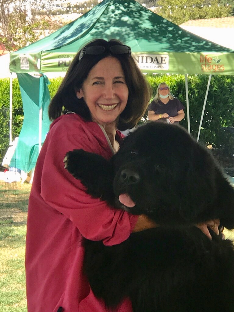 NEW Champion @ Shorepath Newfoundlands! | Shorepath